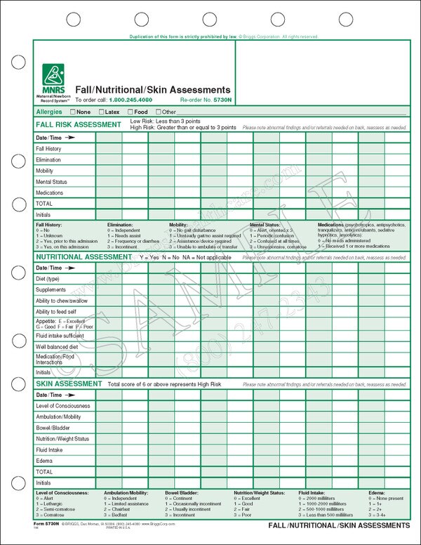Falls Nutritional Skin Assessment Form falls-nutritional-skin-assessment-form